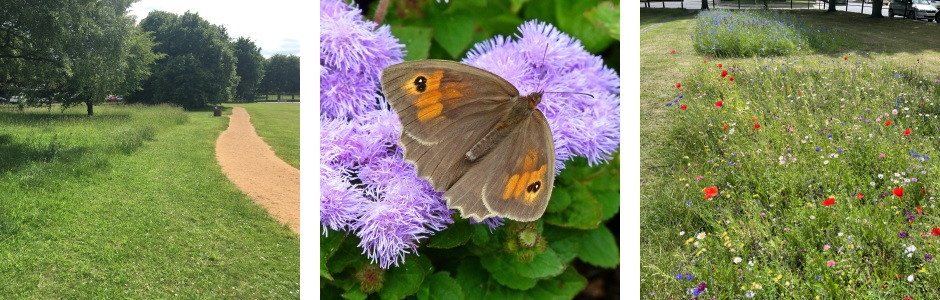 Long grass areas on parks - Cambridge City Council